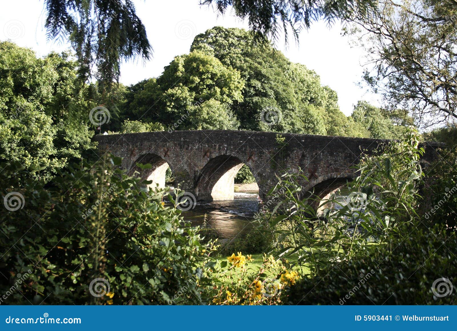 STONE BRIDGE stock image. Image of devon, britain, beautiful - 5903441