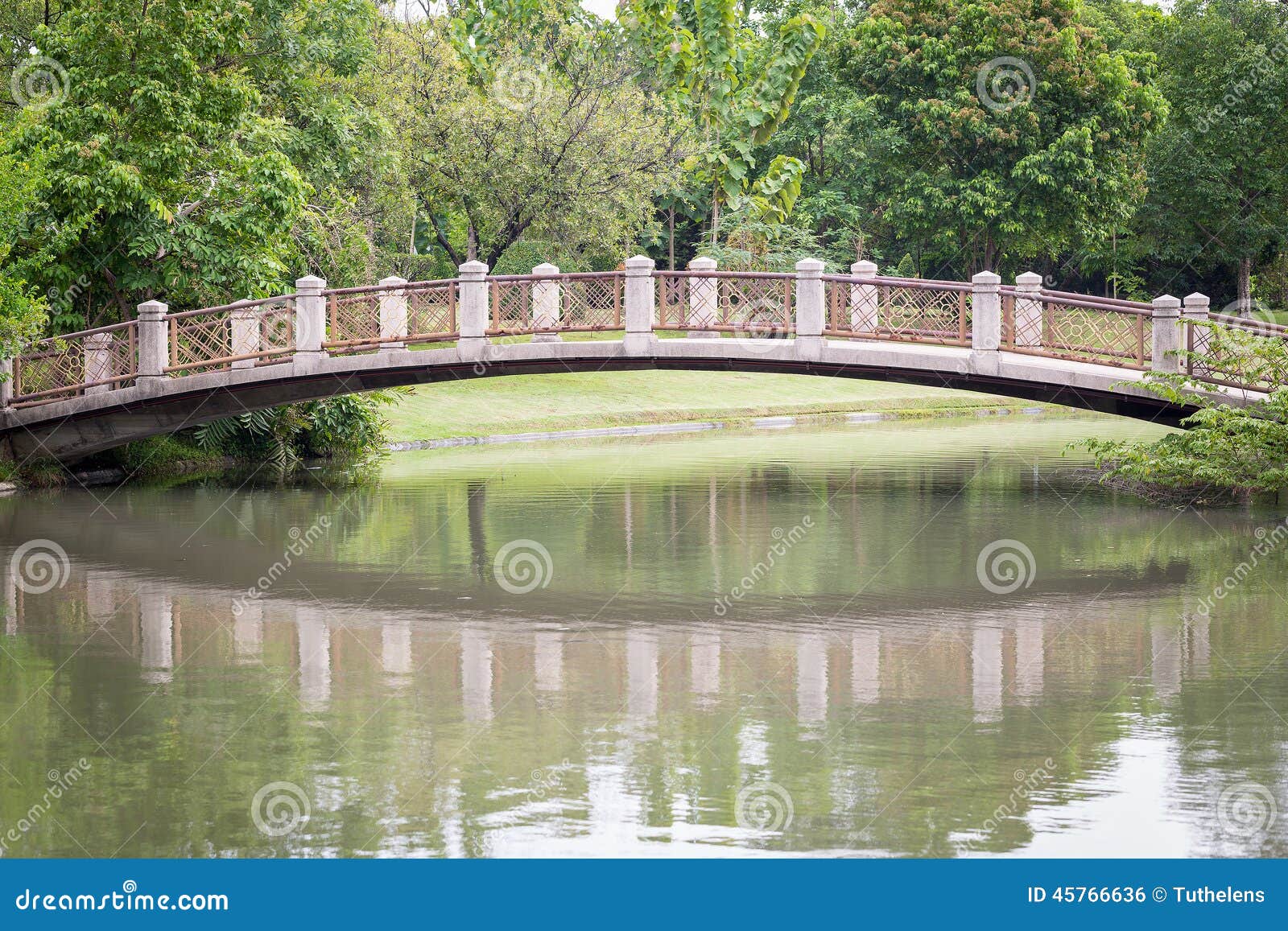 Stone bridge stock photo. Image of bridge, natural, botanical - 45766636