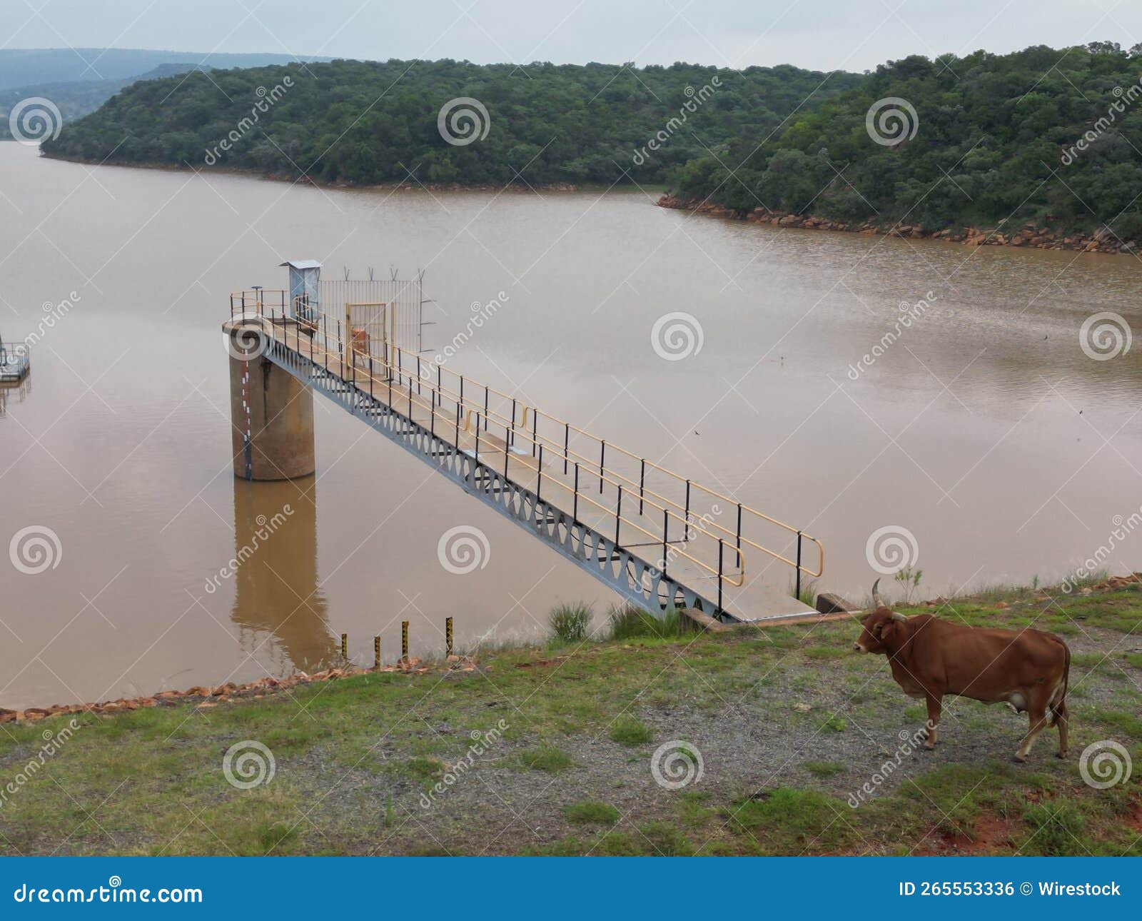 Stone Bridge and a Building Over a River Stock Photo - Image of ...
