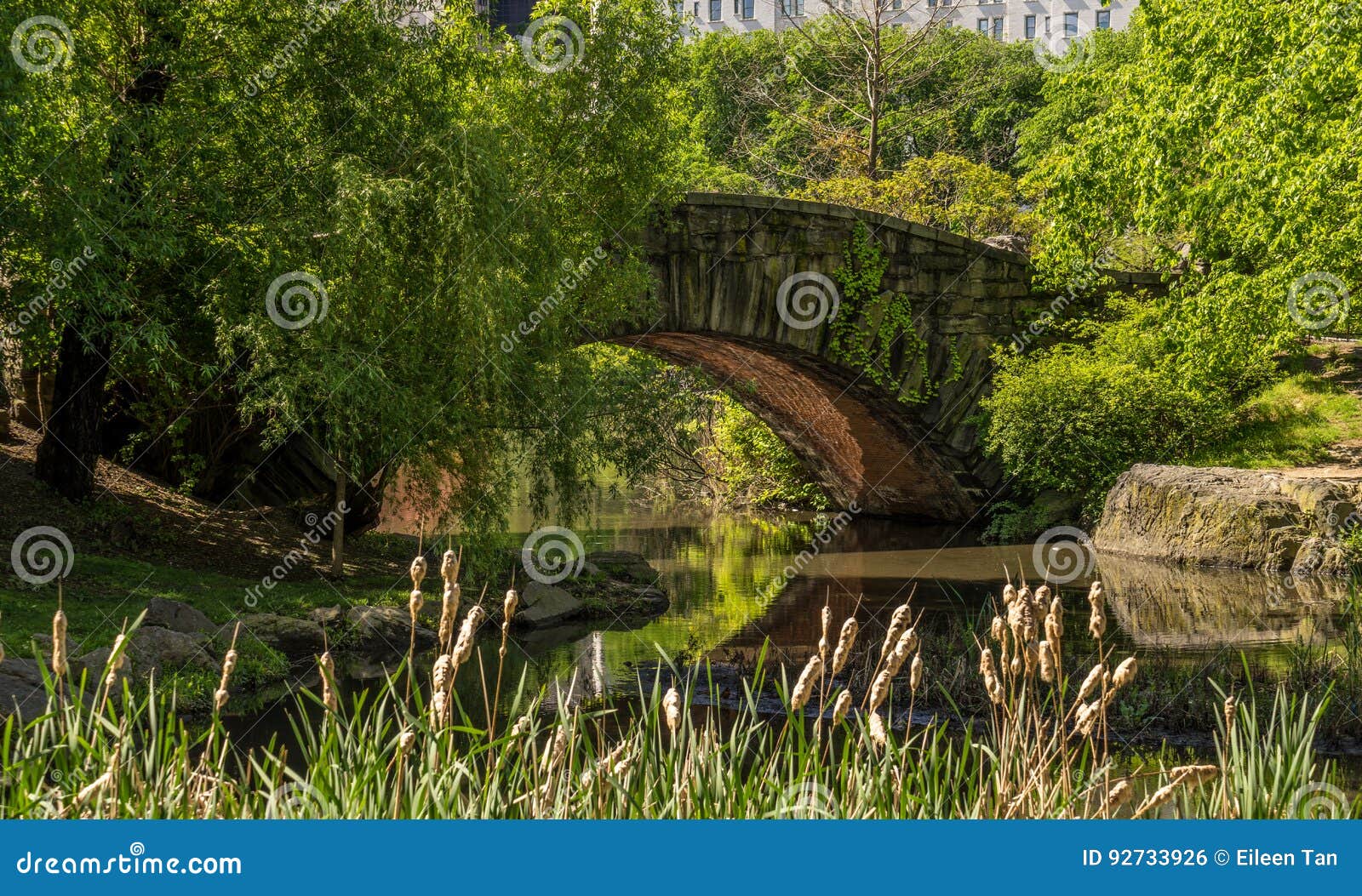 Stone Bridge in Central Park Stock Photo - Image of water, manhattan ...