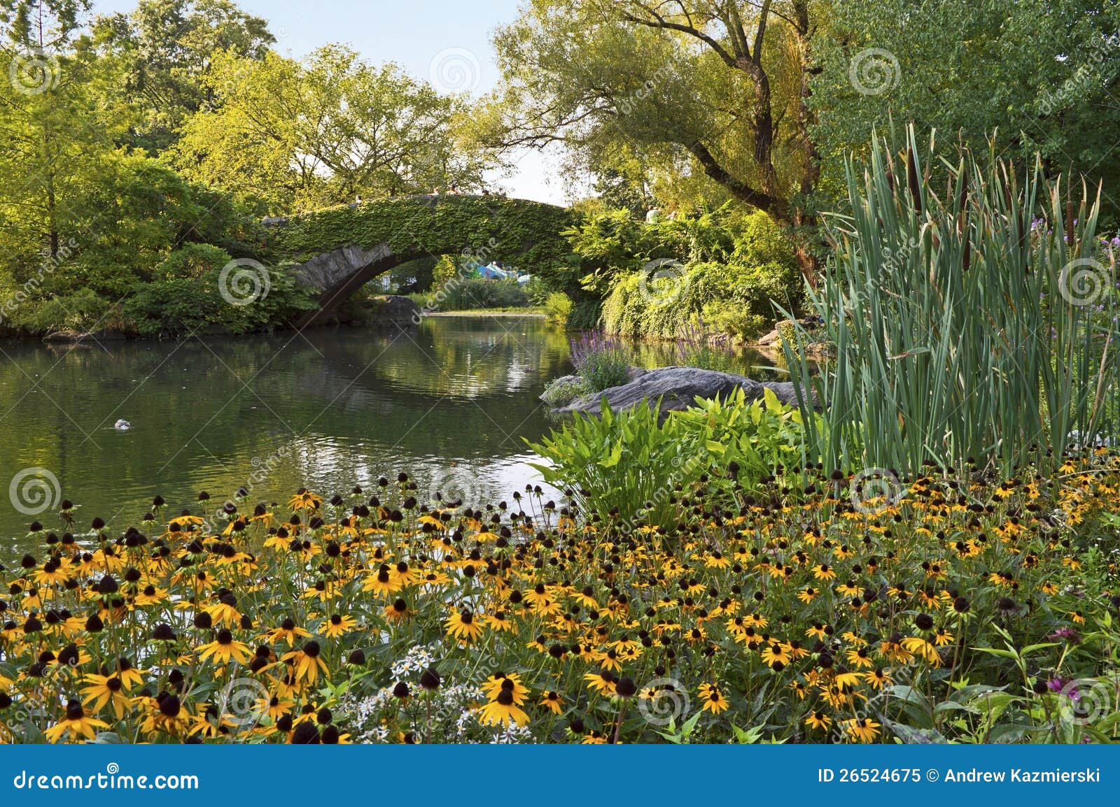 Stone Bridge and Flowers stock image. Image of york, bridge - 26524675