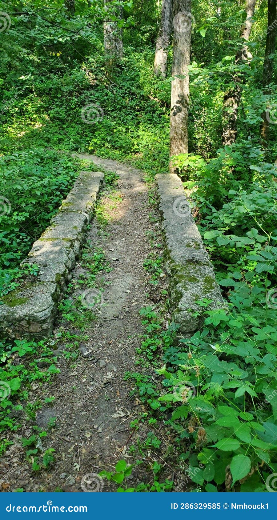 Stone Bridge on a Foot Path on Over a Creek Stock Image - Image of foot ...