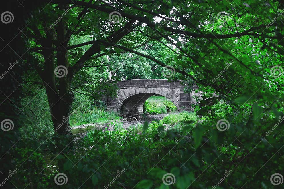 Bridge among Greenery in England Stock Image - Image of landscape ...