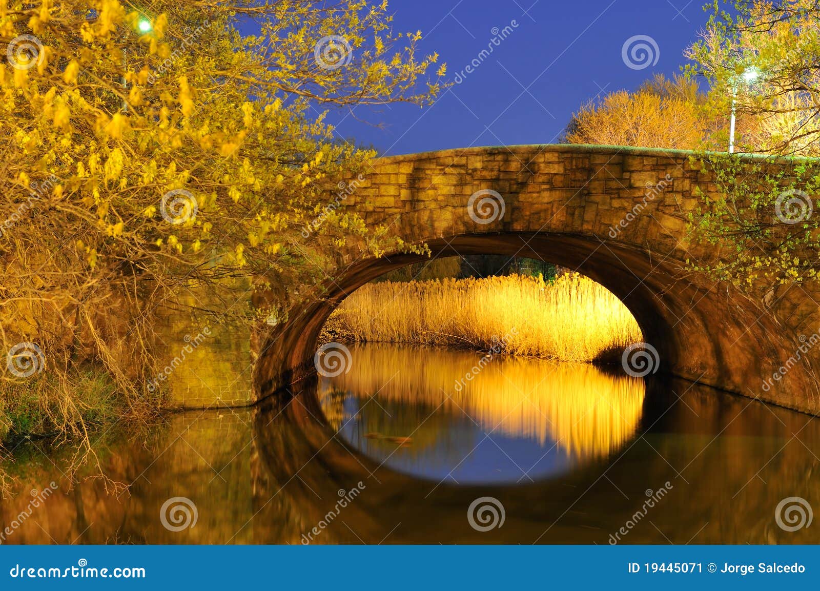 Stone Bridge at Night stock image. Image of boston, curve - 19445071