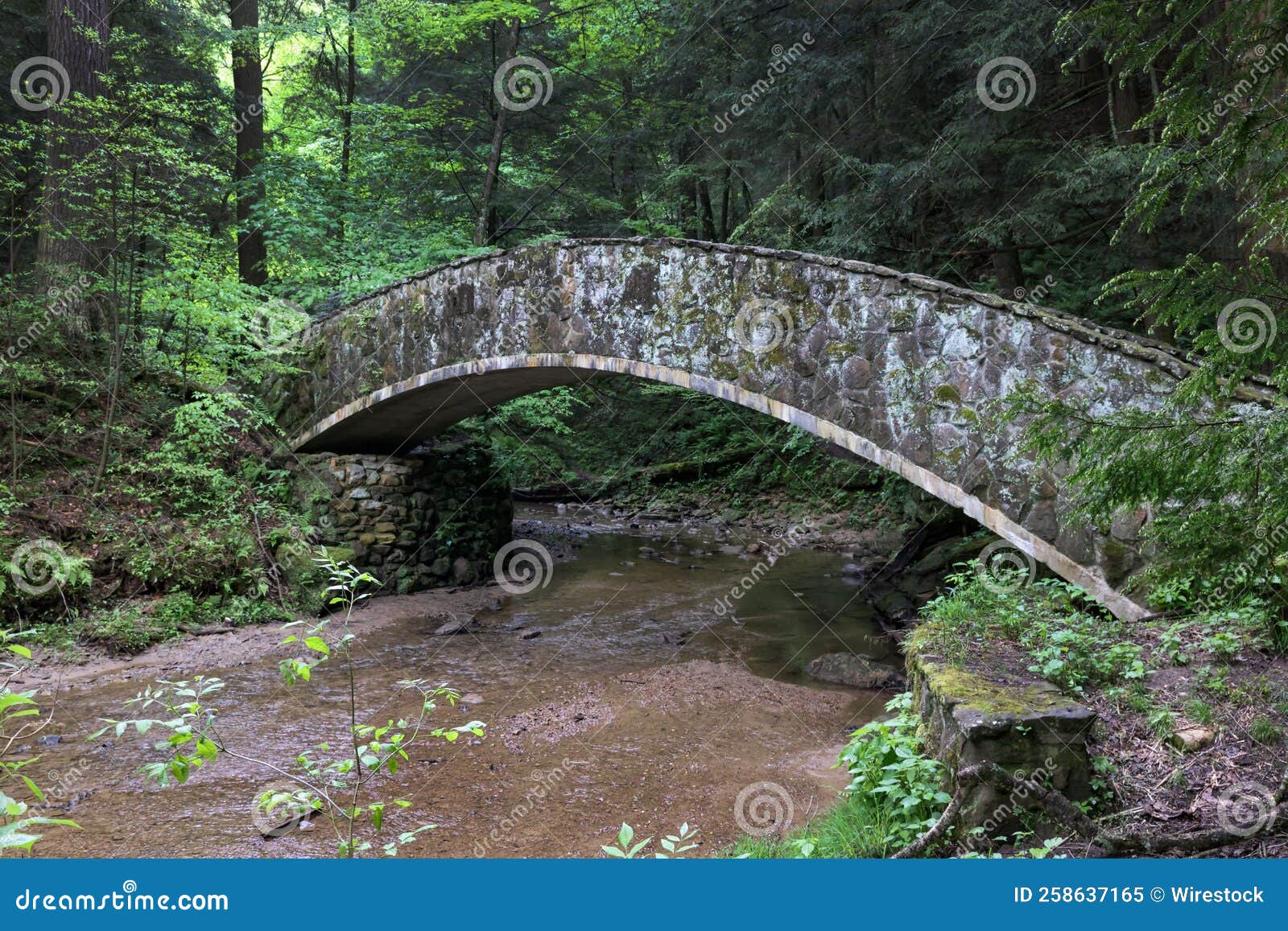 Stone Bridge Over a River in a Dense Forest Stock Image - Image of ...