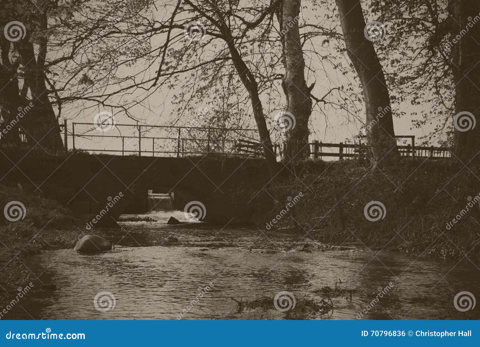 Stone Bridge Over the River Misbourne Stock Photo - Image of wood ...