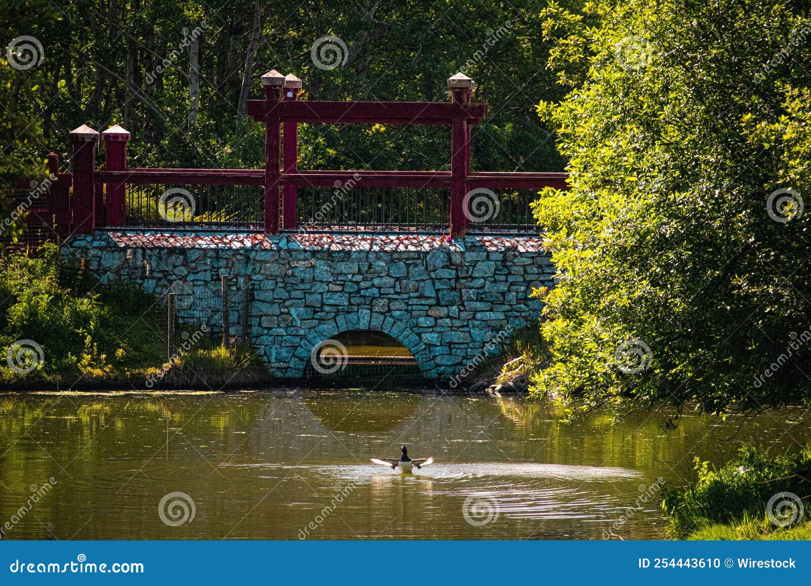 Stone Bridge Over the River on a Sunny Day Stock Photo - Image of ...
