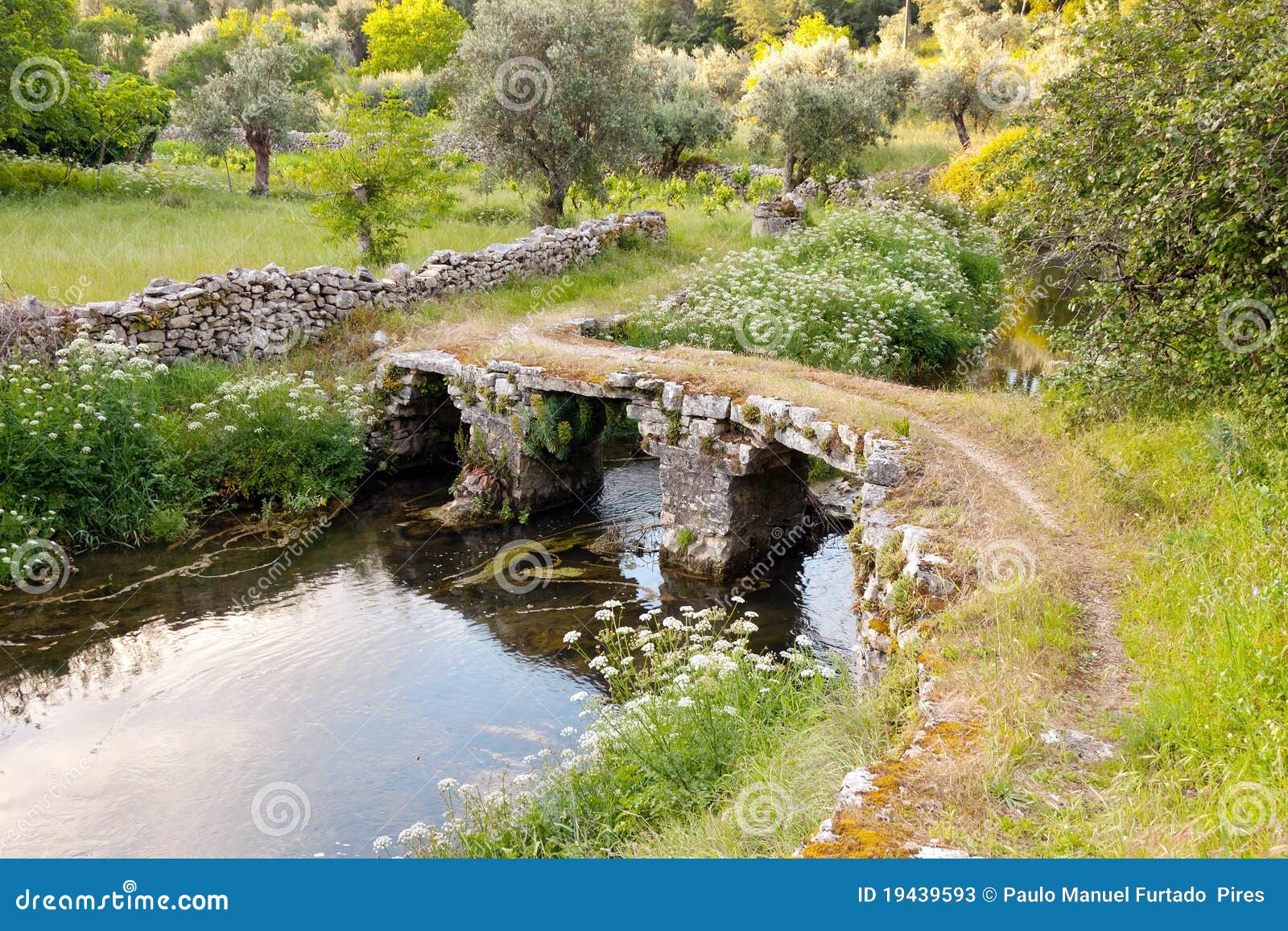 Stone Bridge Over Small River Stock Image - Image of rock, bridge: 19439593