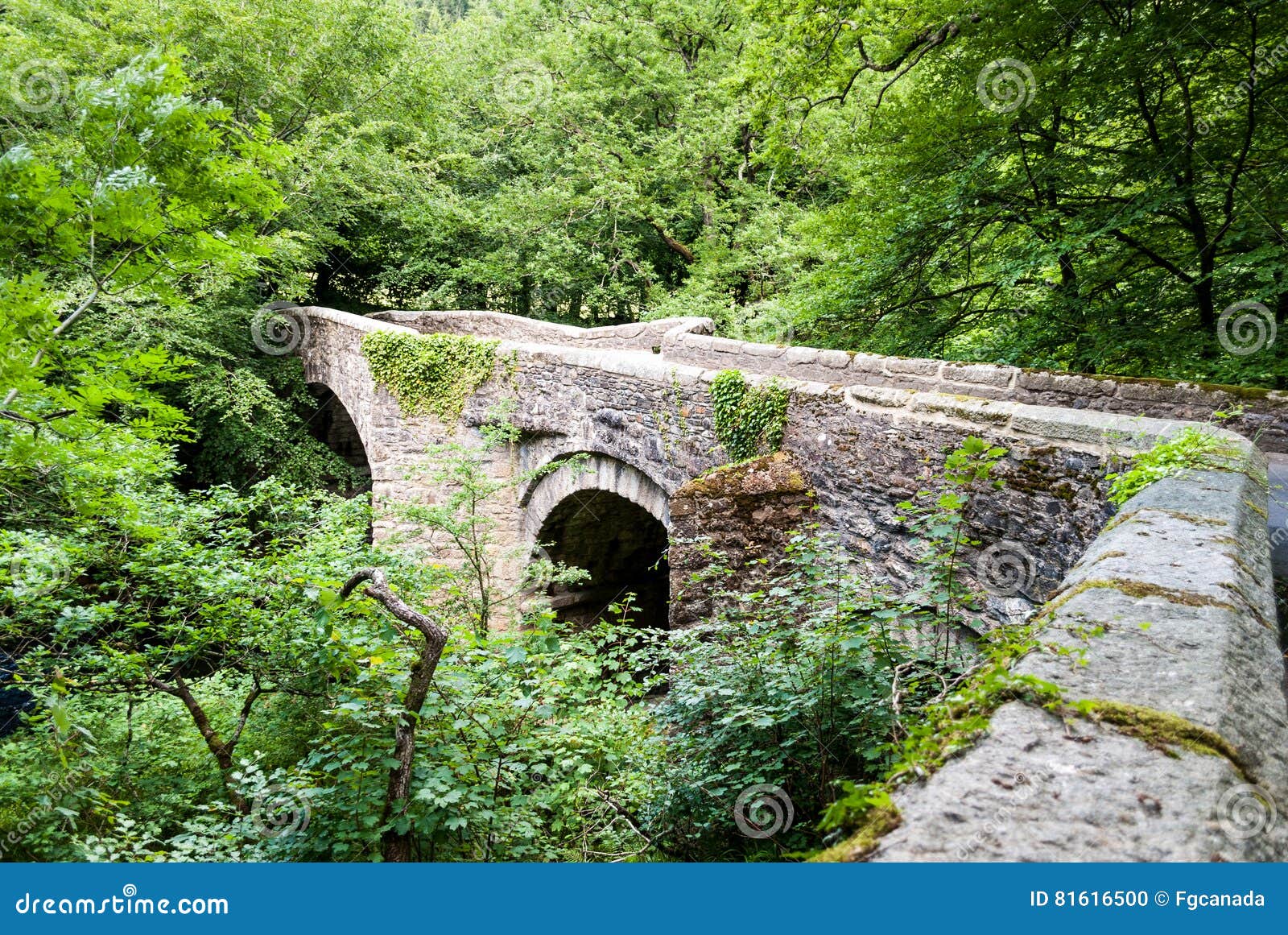 Stone Bridge Over the Small River, Wales, UK. Stock Photo - Image of ...