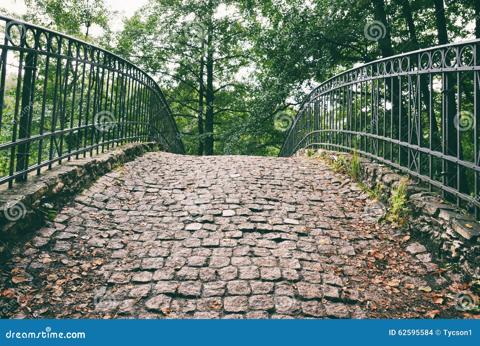 Stone bridge stock photo. Image of stone, surreal, autumn - 62595584
