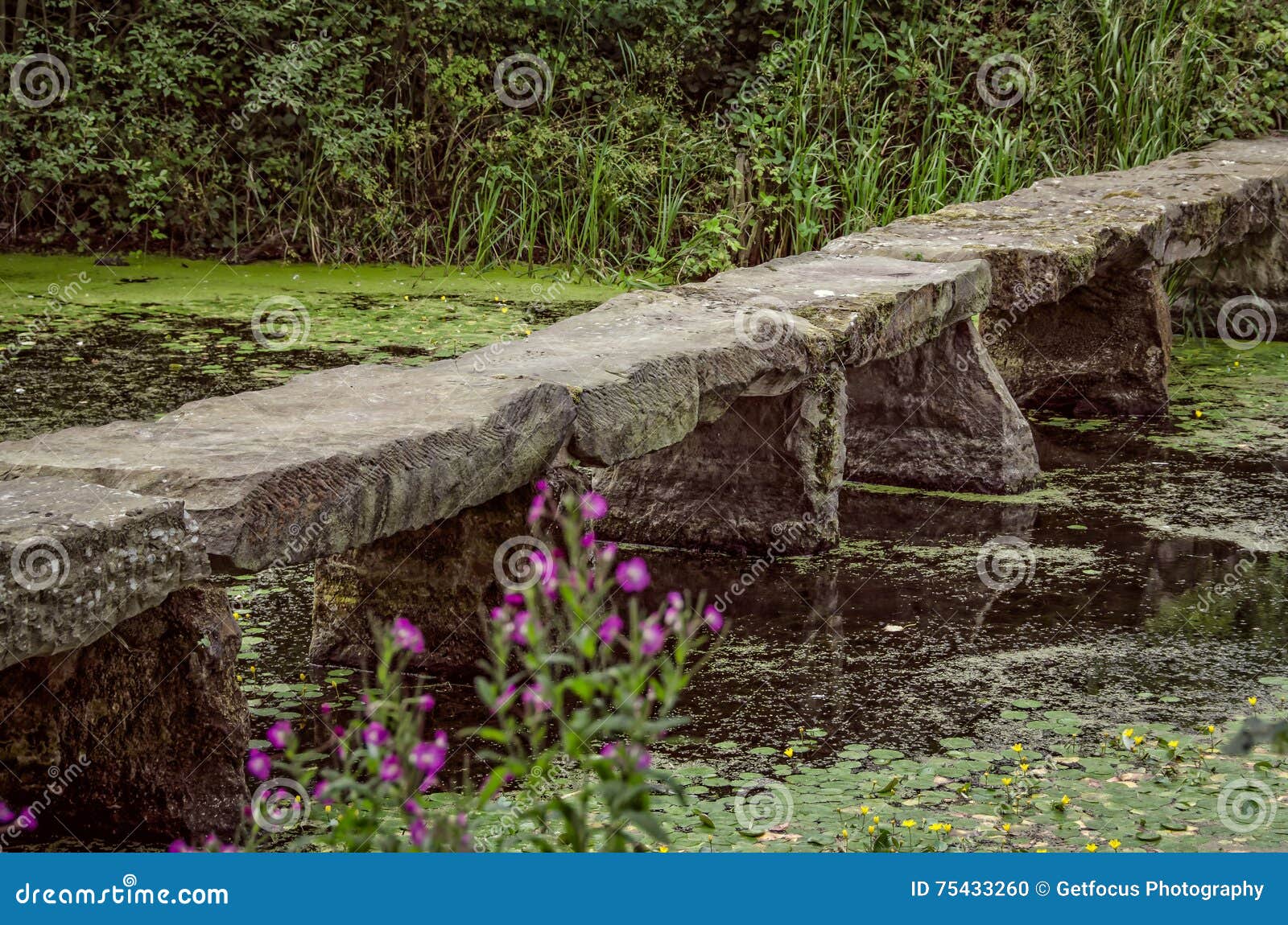 Stone bridge in pond stock photo. Image of arch, stonework - 75433260
