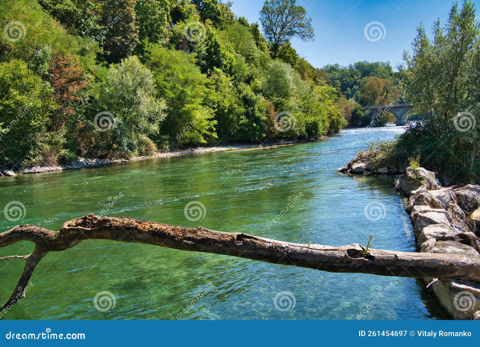 River in the forest stock image. Image of stone, watercourse - 261454697