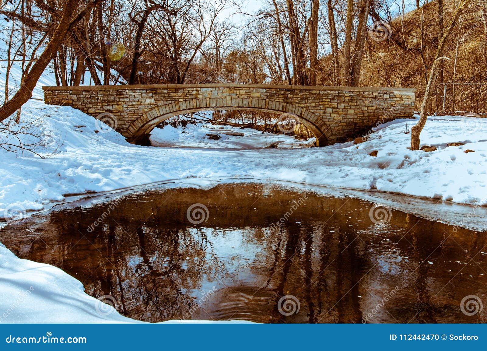 Stone Bridge Throw the Spring Stream Stock Photo - Image of wood, stone ...