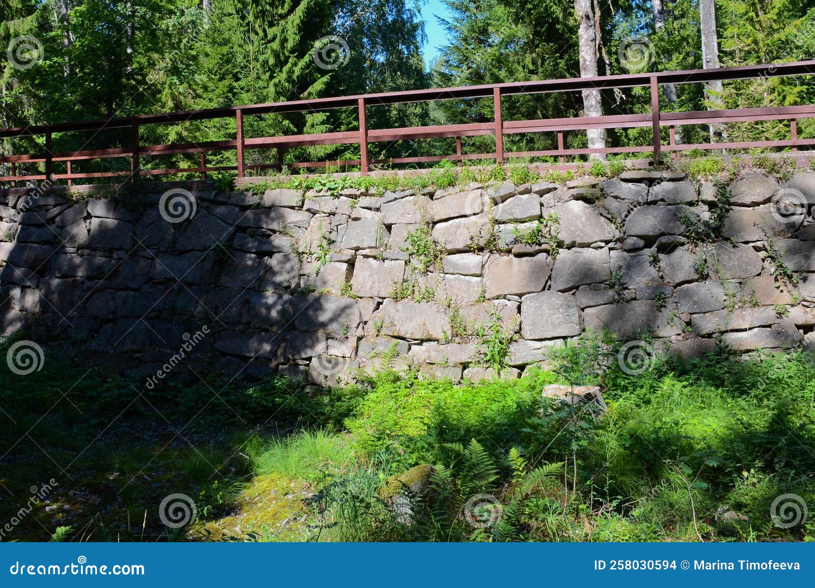 Stone Bridge with Wooden Railings Summer Forest Stock Photo - Image of ...