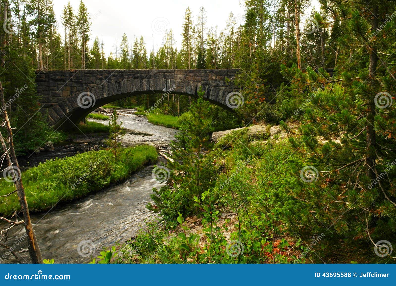 Stone Bridge in Yellowstone Stock Photo - Image of forest, river: 43695588