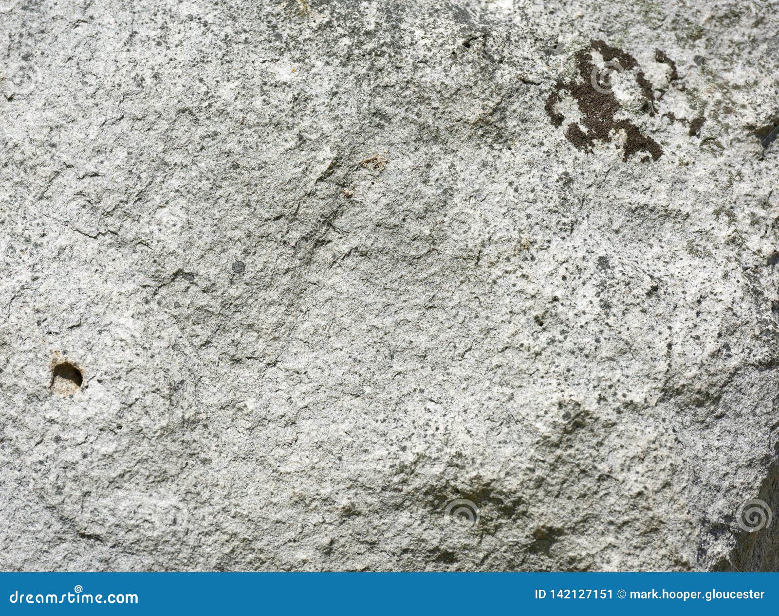 Stone with Brown Moss Detailed Texture, Backdrop Stock Image - Image of ...
