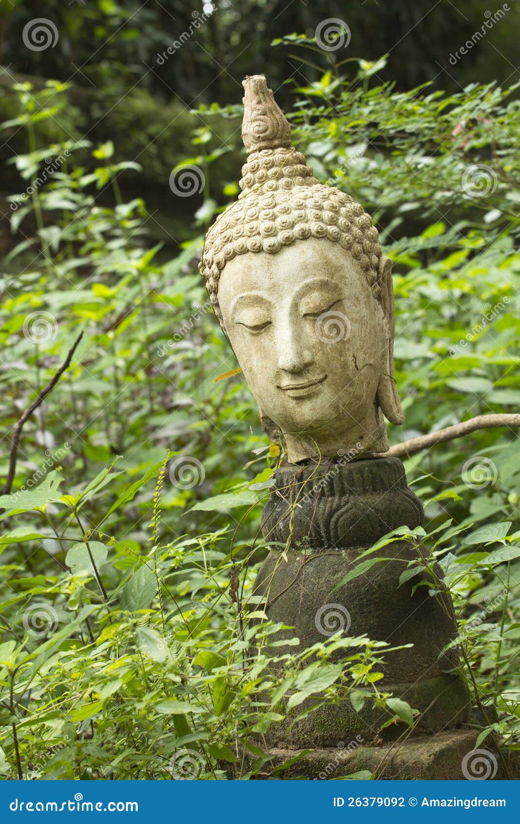 Stone Buddha head stock photo. Image of history, world - 26379092