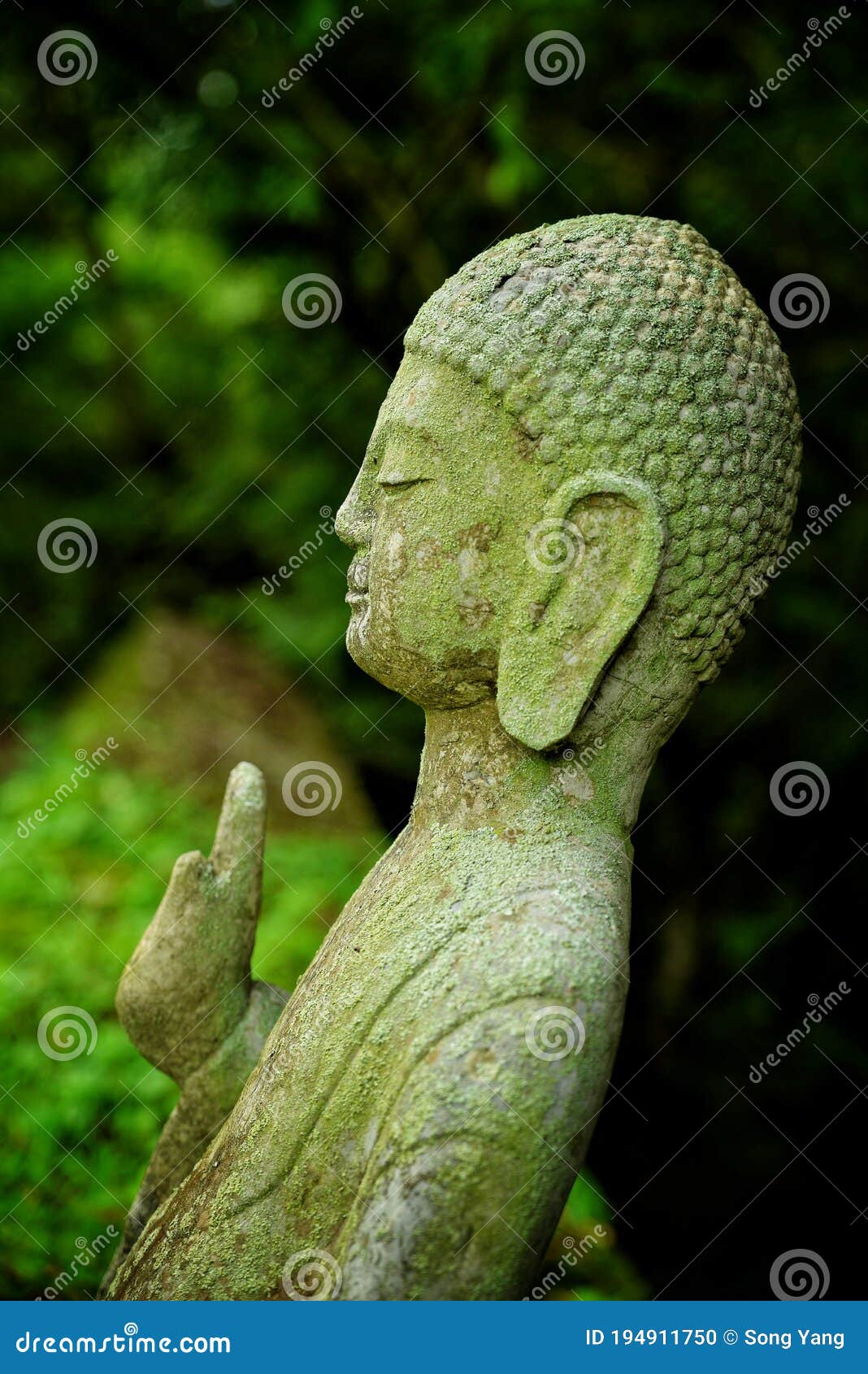 Stone buddha stock photo. Image of stone, meditation - 194911750