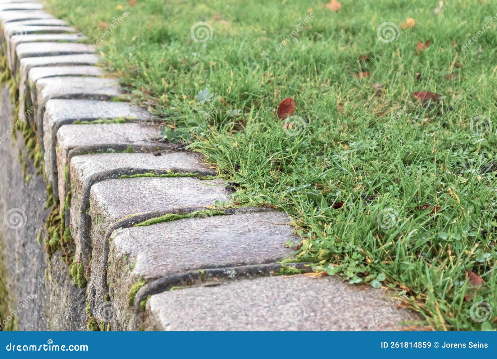 A Square Stone Path with Green Grass on the Side Stock Image - Image of ...