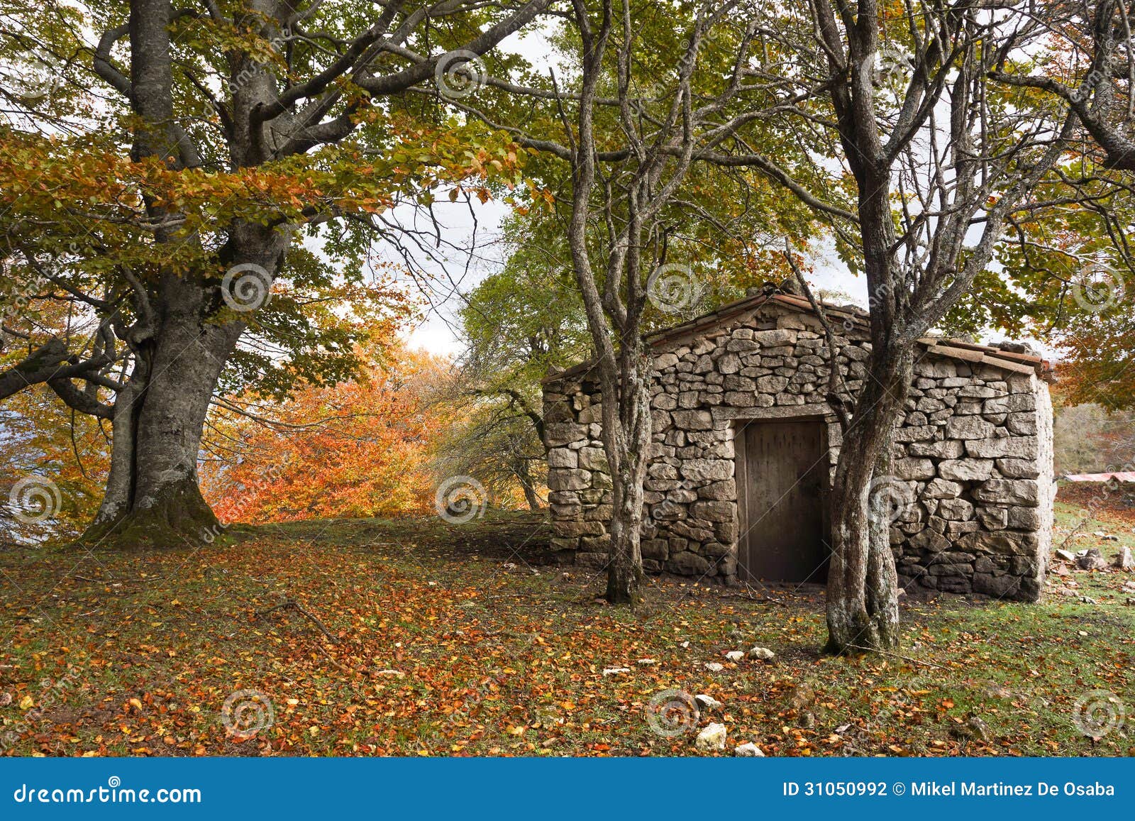 Stone Cabin Royalty-Free Stock Image | CartoonDealer.com #9706540