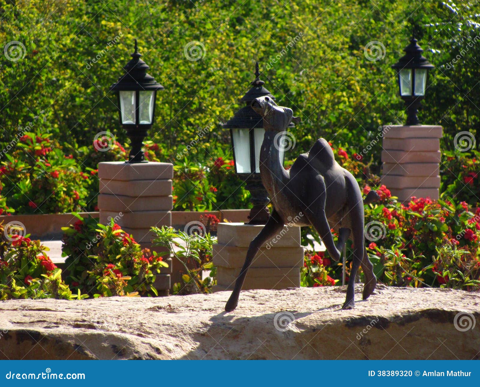 Stone camel in garden stock photo. Image of camel, india - 38389320