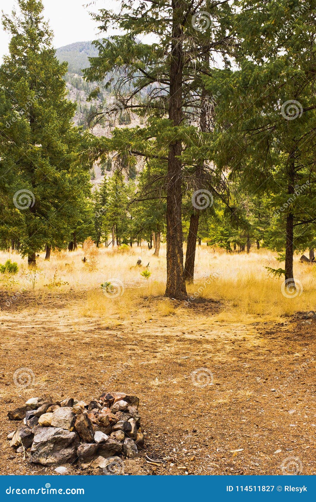 Stone campfire ring stock image. Image of ground, stone - 114511827