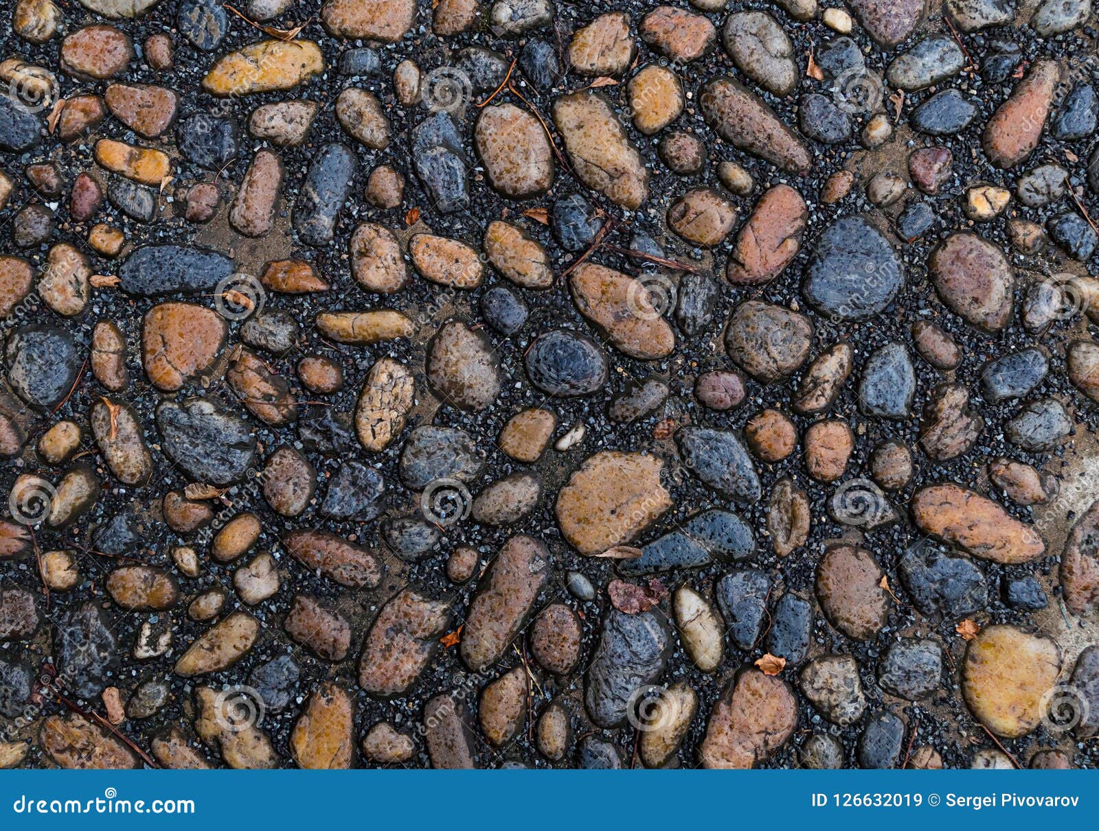 Stone Canvas Smooth Oval Stones Brown Gray Stones Mini on Black ...