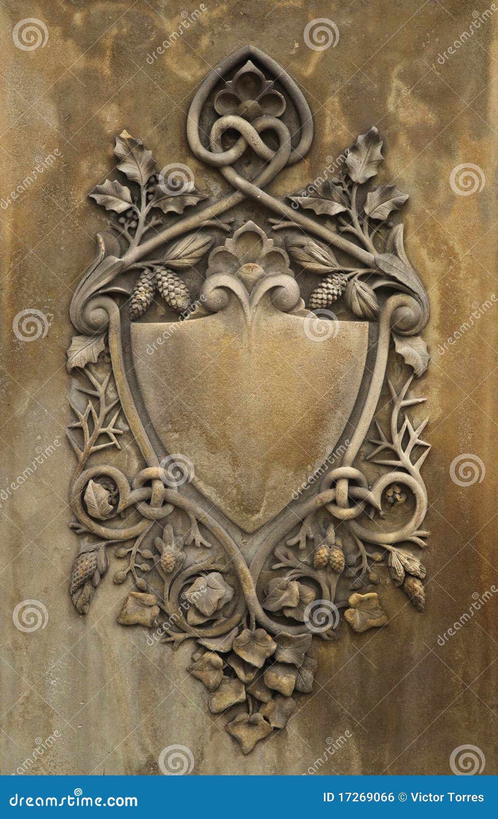 Stone Carved Shield stock photo. Image of plant, vintage - 17269066