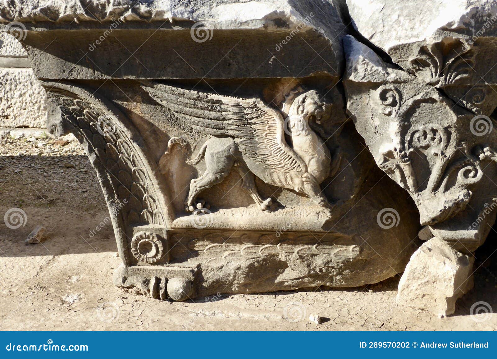 A Carving of a Winged Beast at the Temple of Apollo at Didim in Turkey ...