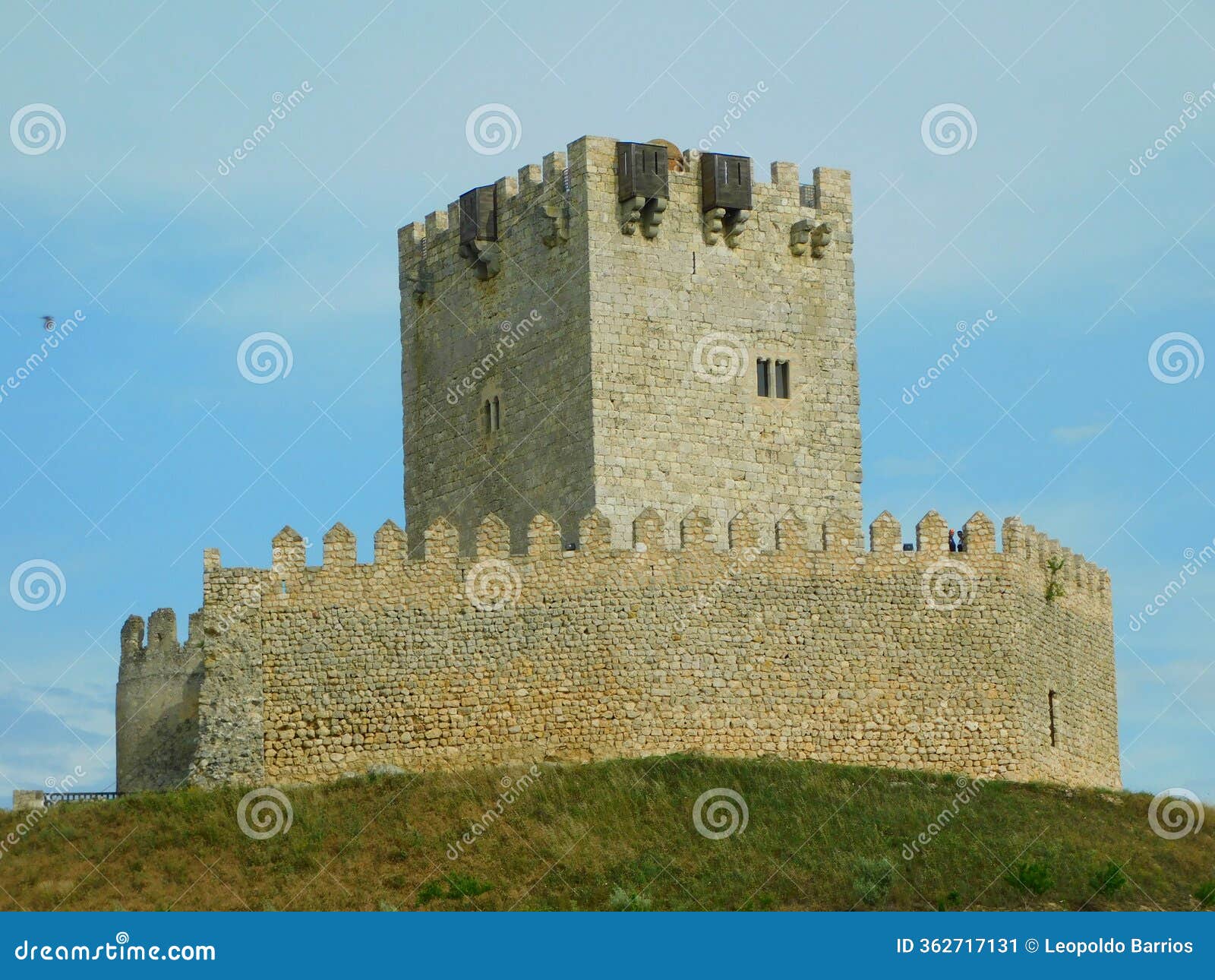 Medieval Castle of Tiedra in Rural Landscapes Stock Image - Image of ...