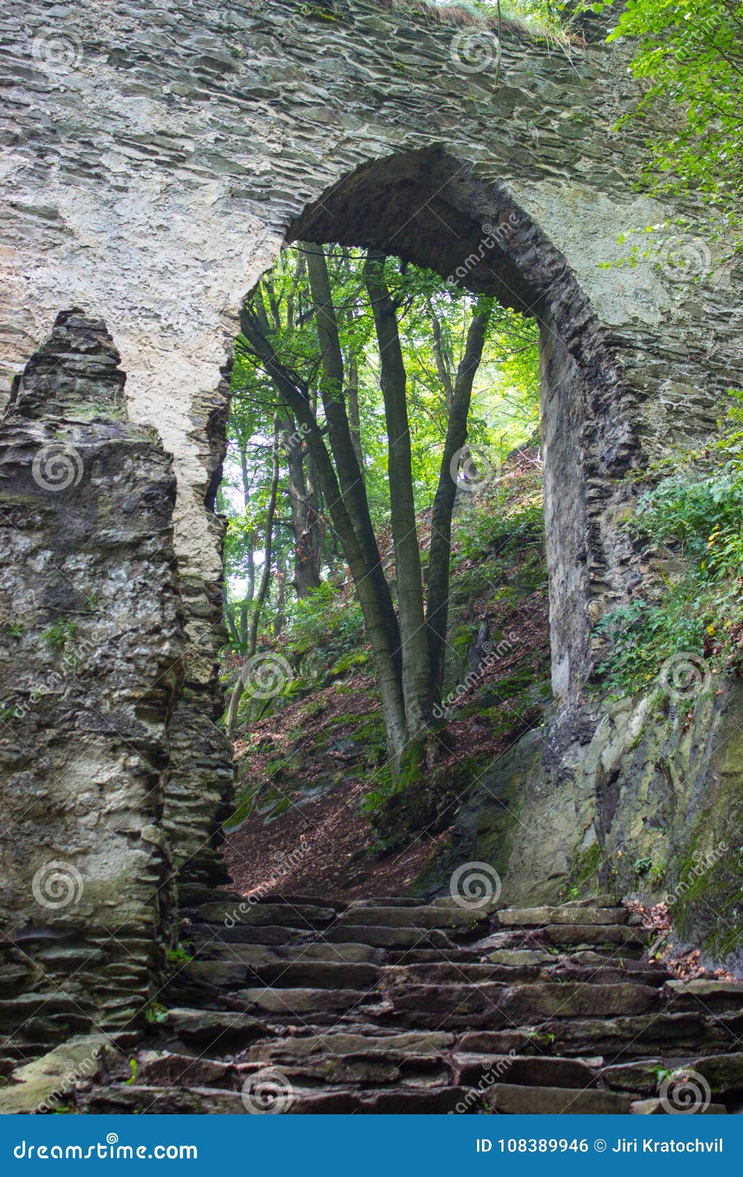 Stone Castle Gate in the Woods Stock Photo - Image of europe, plant ...