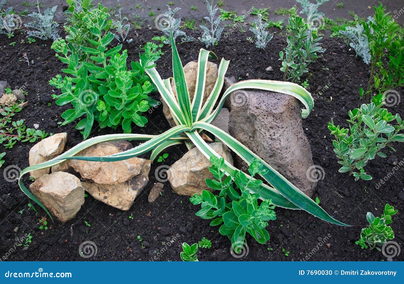 Stone catcher stock photo. Image of grew, wake, grass - 7690030