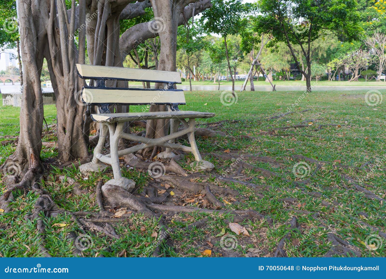 Stone chair under a tree stock photo. Image of bench - 70050648