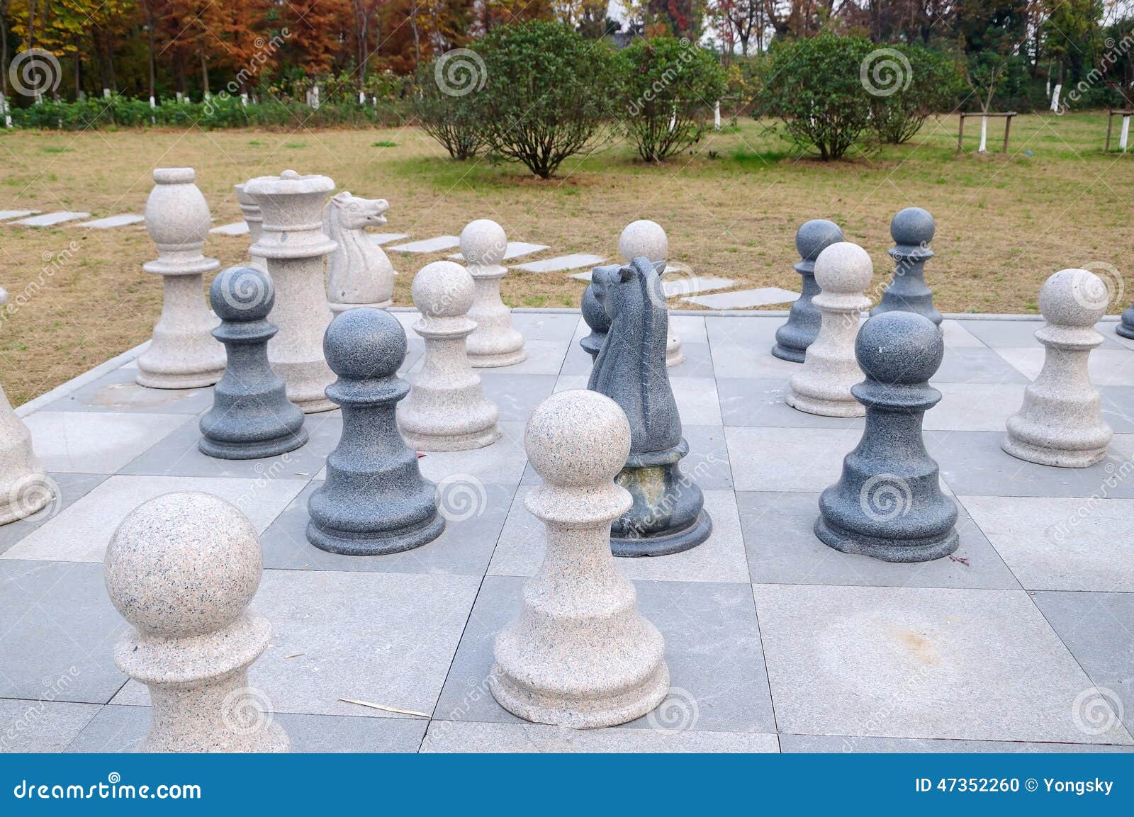 Stone Chess Set I Stock Image | CartoonDealer.com #35815339