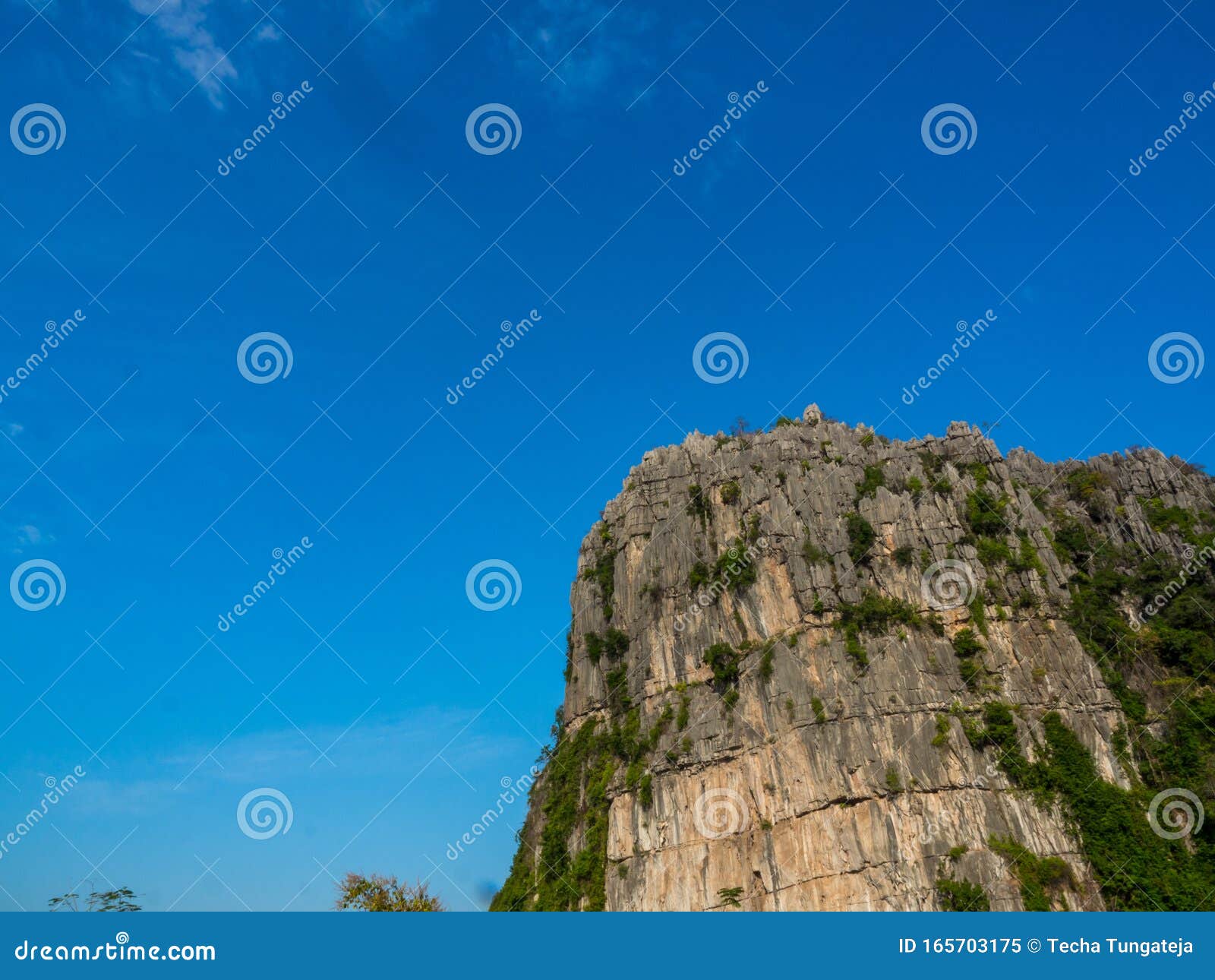 Stone Cliff Mountain with Green Forest on Blue Sky Background Stock ...