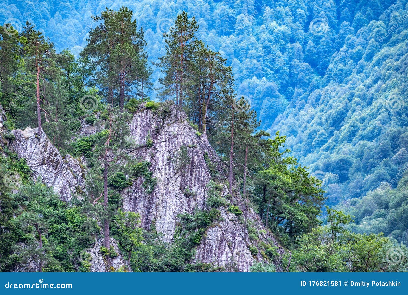Stone Cliff with Pines Growing on it in Front of a Green Mountainside ...