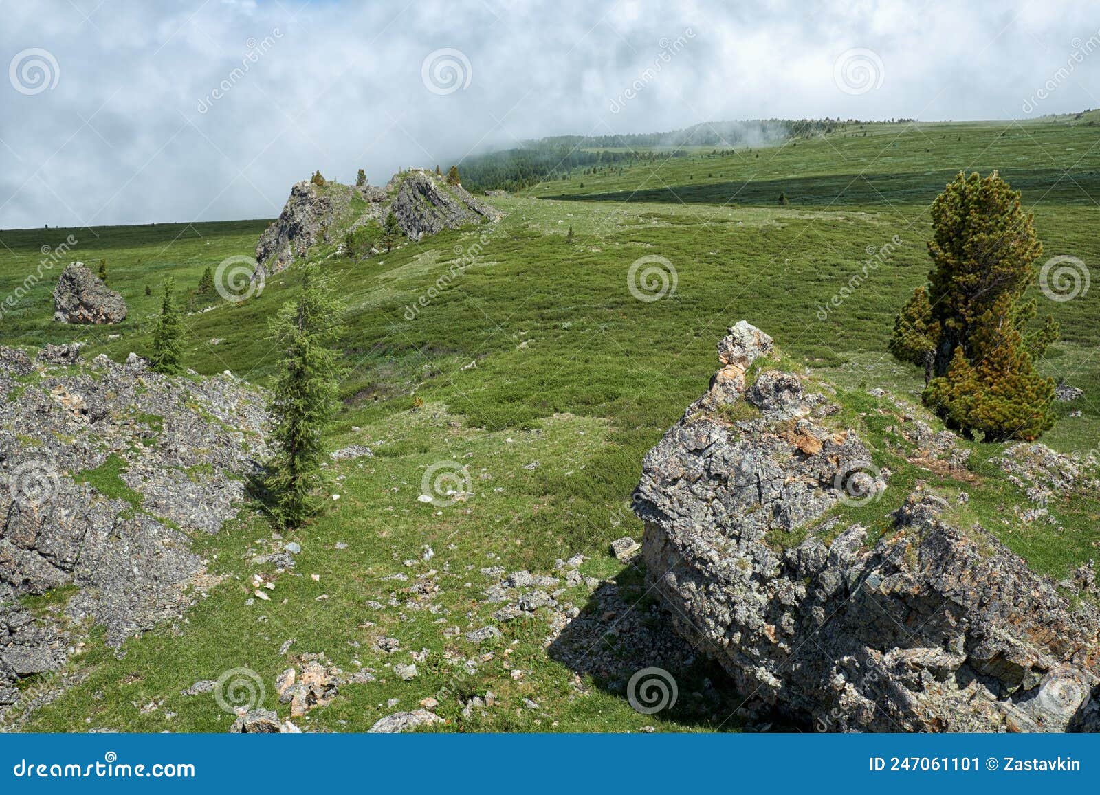 Stone Cliffs on the Mountainside. at the Top Grows a Cedar Tree Stock ...
