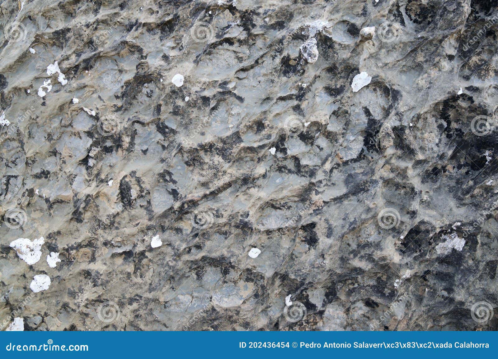 Stone close up stock photo. Image of object, regular - 202436454