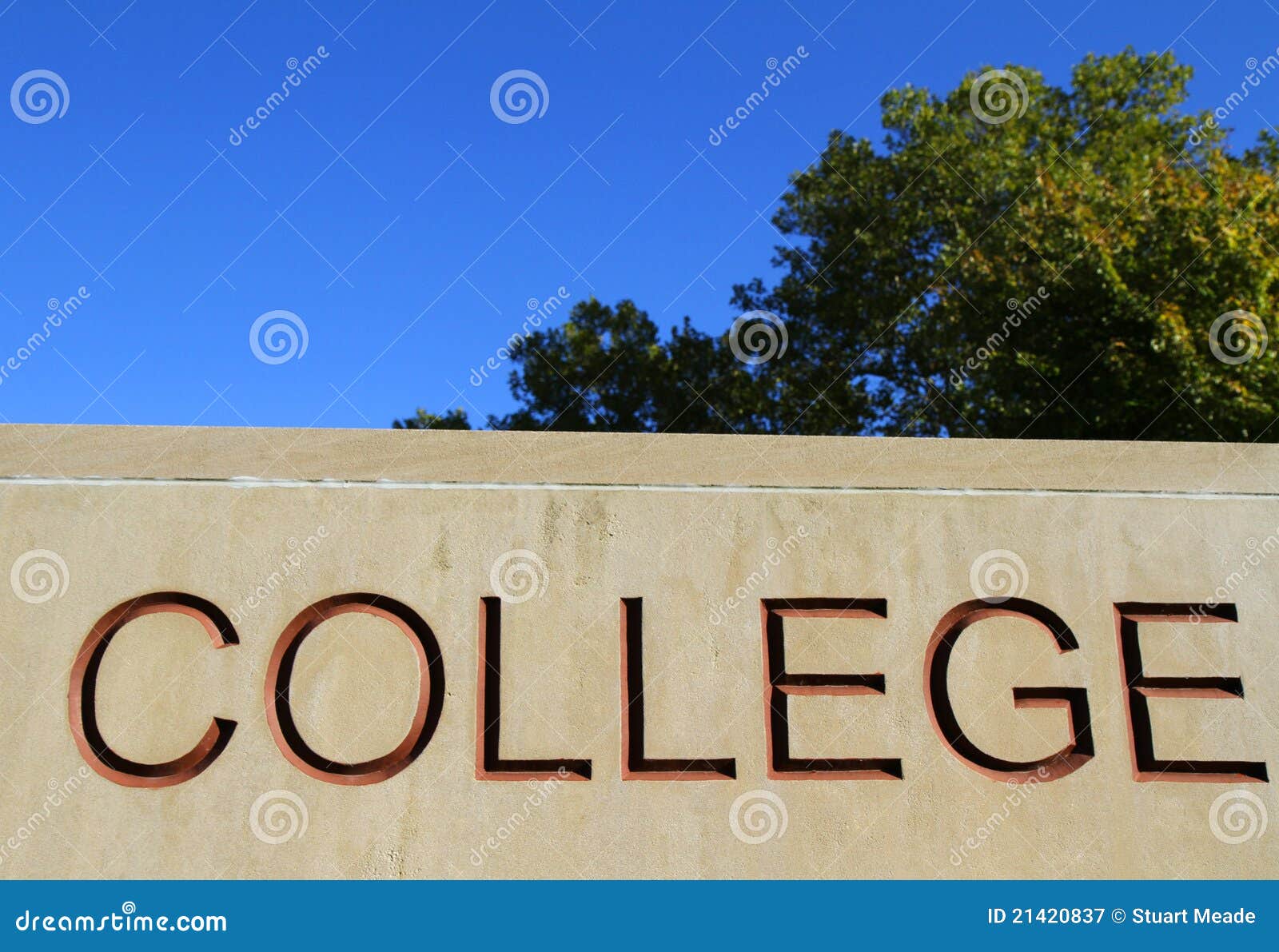 Stone College Sign with Tree Stock Image - Image of stone, limestone ...