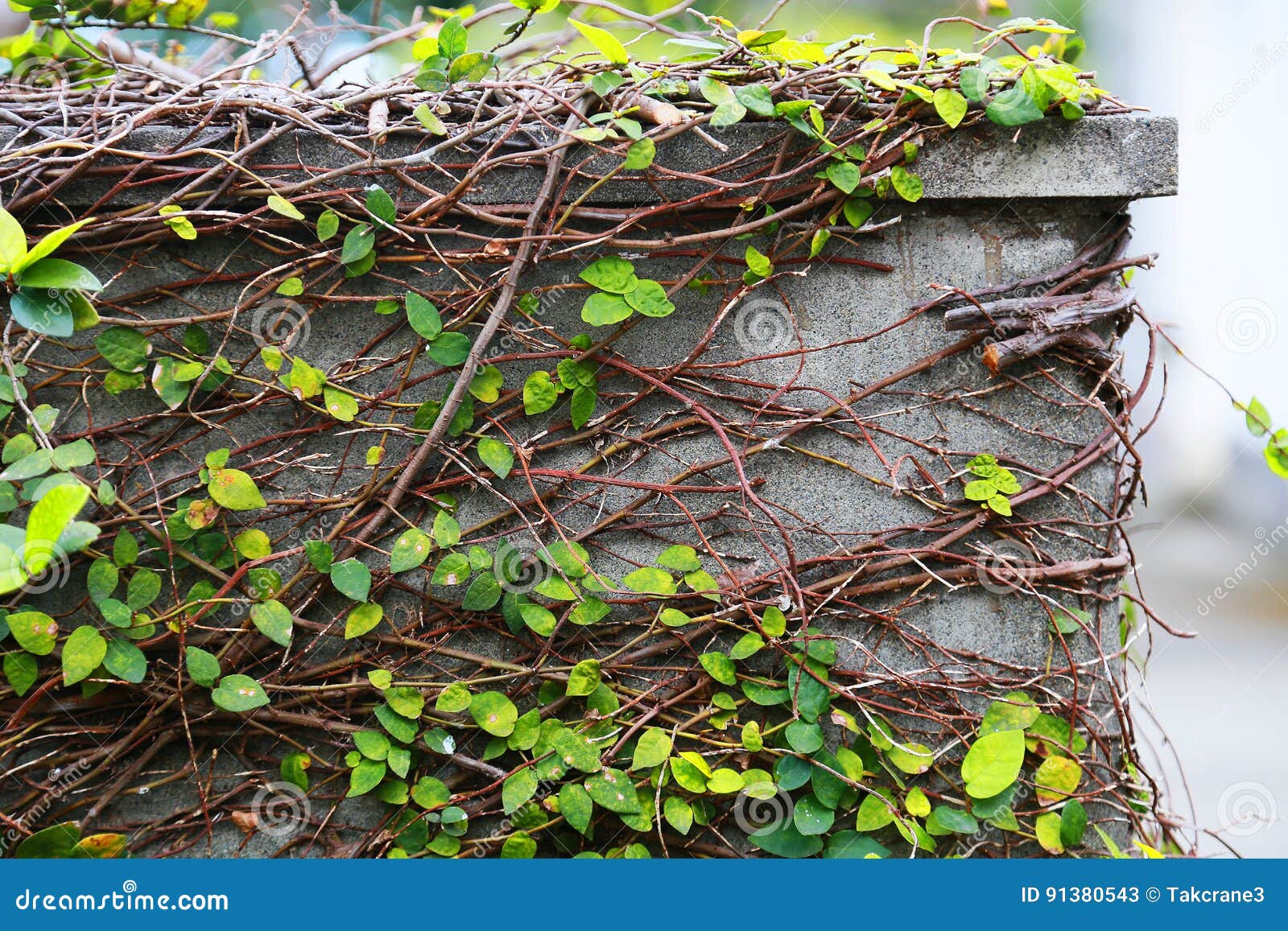 Stone column green stock image. Image of green, scene - 91380543