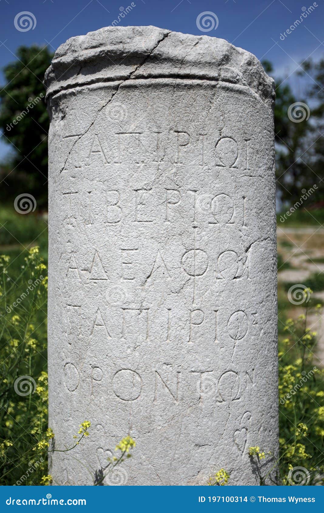 Engraved Column In The Temple Of Kom-Ombo, Egypt Royalty-Free Stock ...