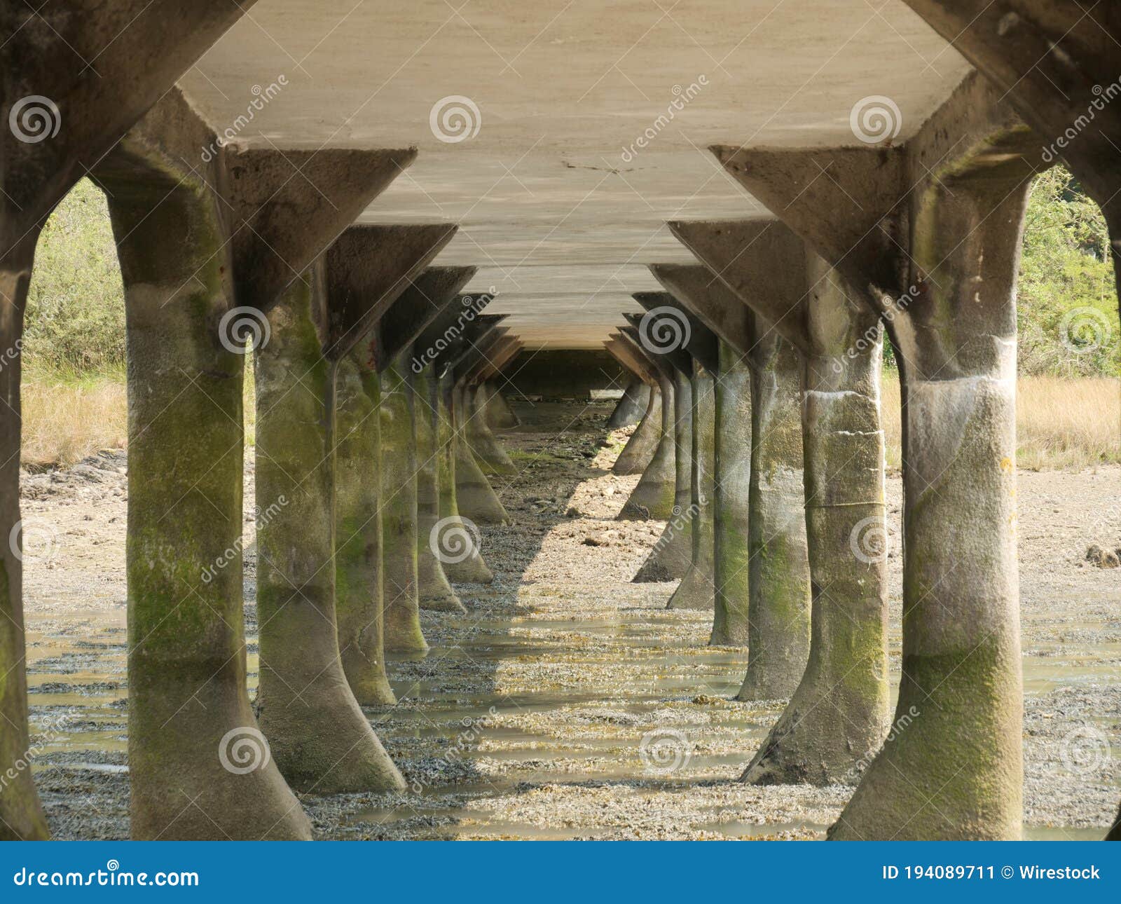 Stone Columns Under an Old Bridge during Daylight Stock Image - Image ...