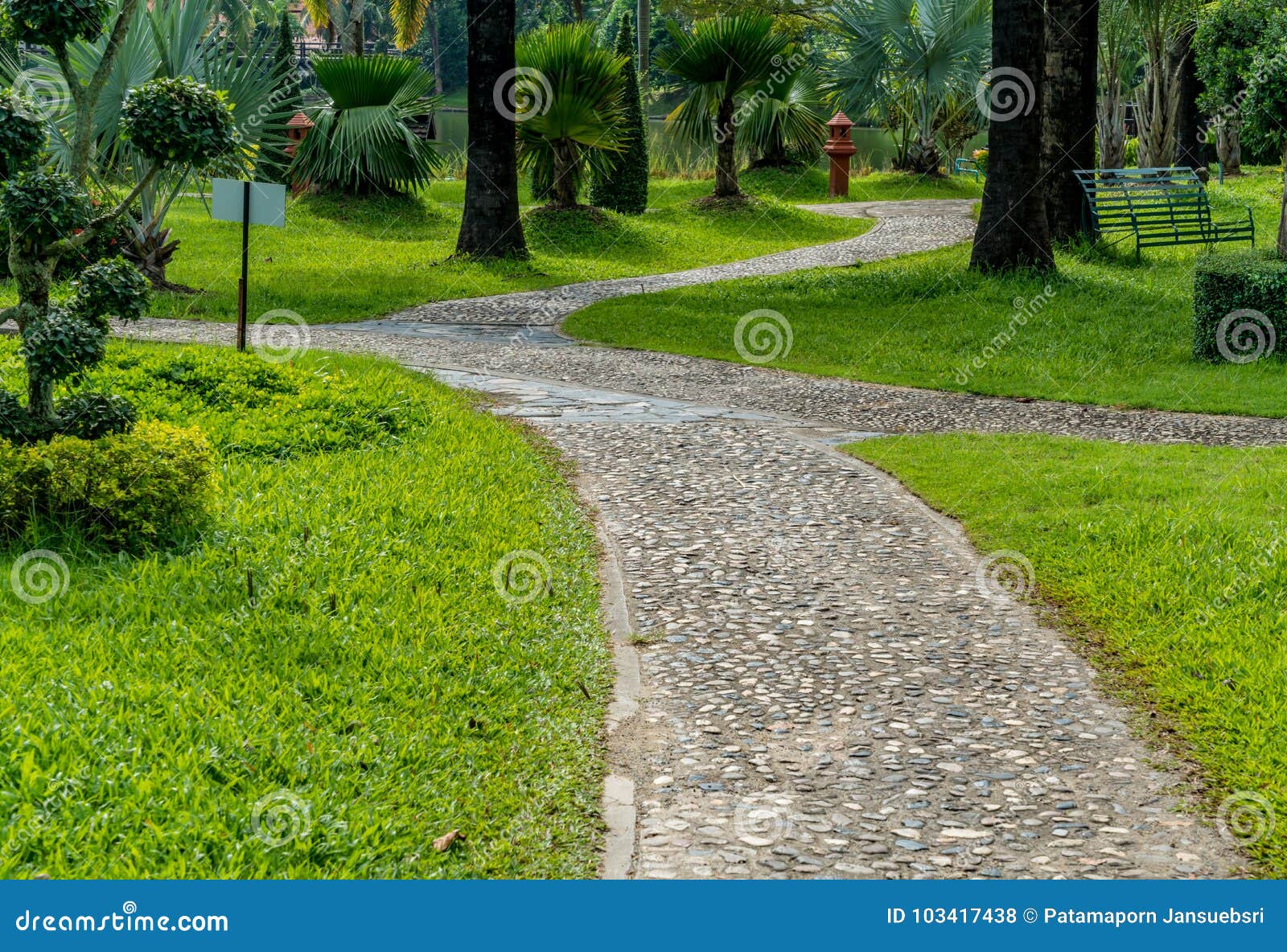 Concrete Pathway in the Park Stock Photo - Image of plant, garden ...