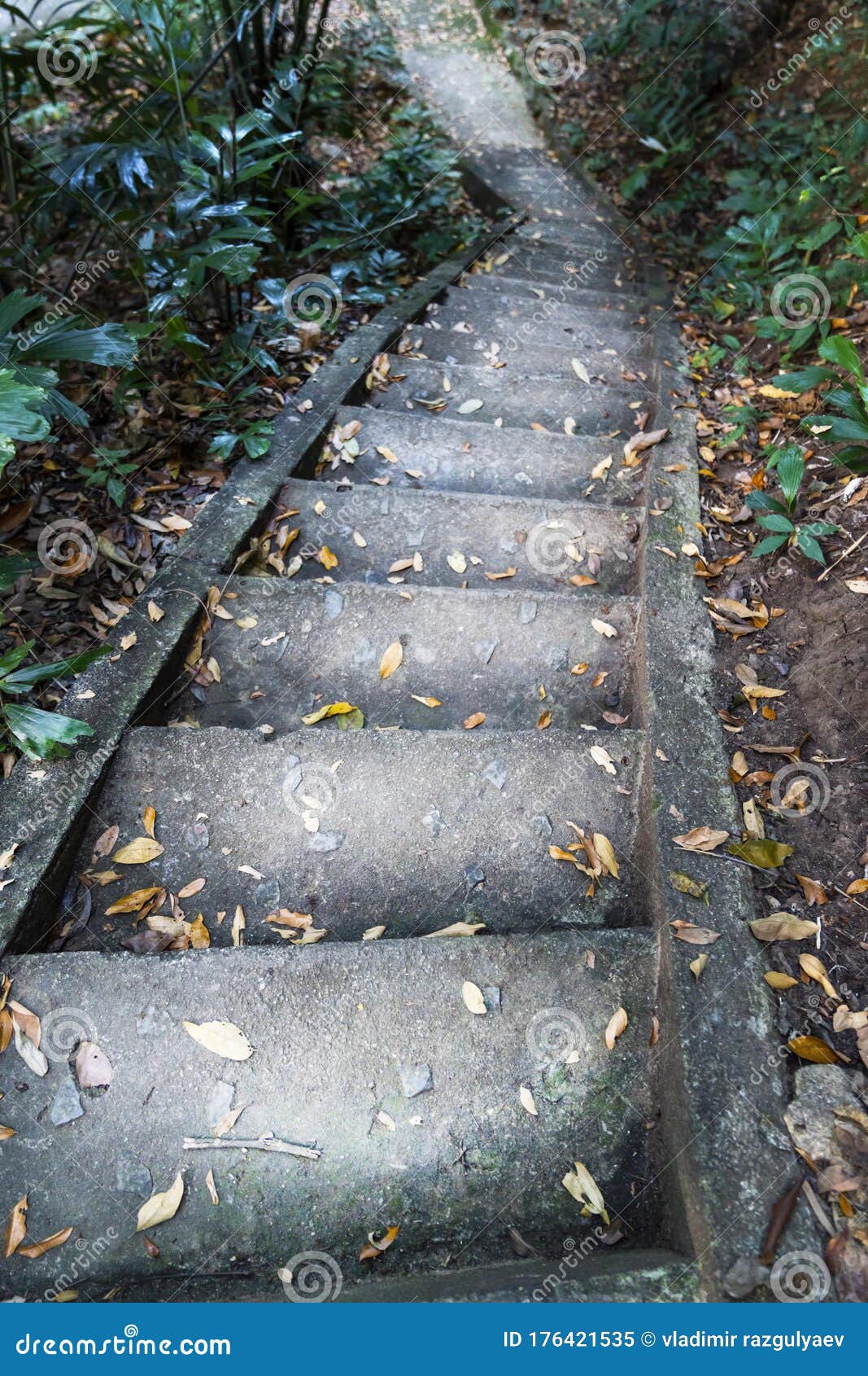 Stone Concrete Steps, a Winding Road Down. Fabulous View in the Dark ...