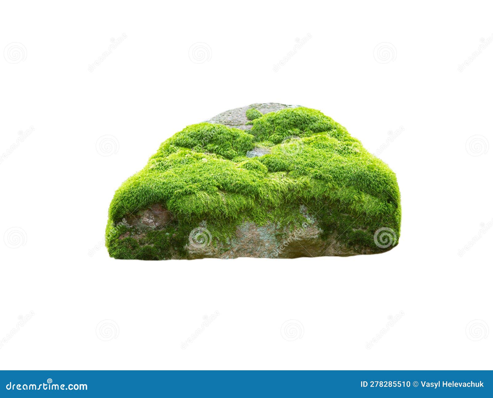 Stone Covered with Moss Isolated on White Stock Photo - Image of grow ...