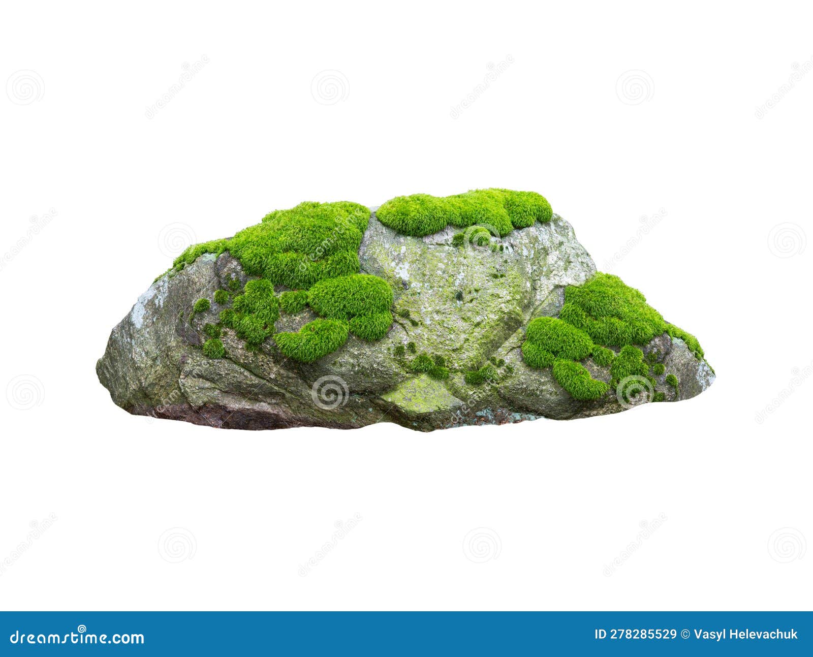 Stone Covered with Moss Isolated on White Stock Image - Image of moist ...