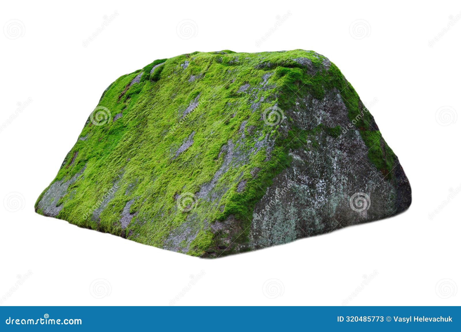 Stone Covered with Moss Isolated on White Background Stock Image ...