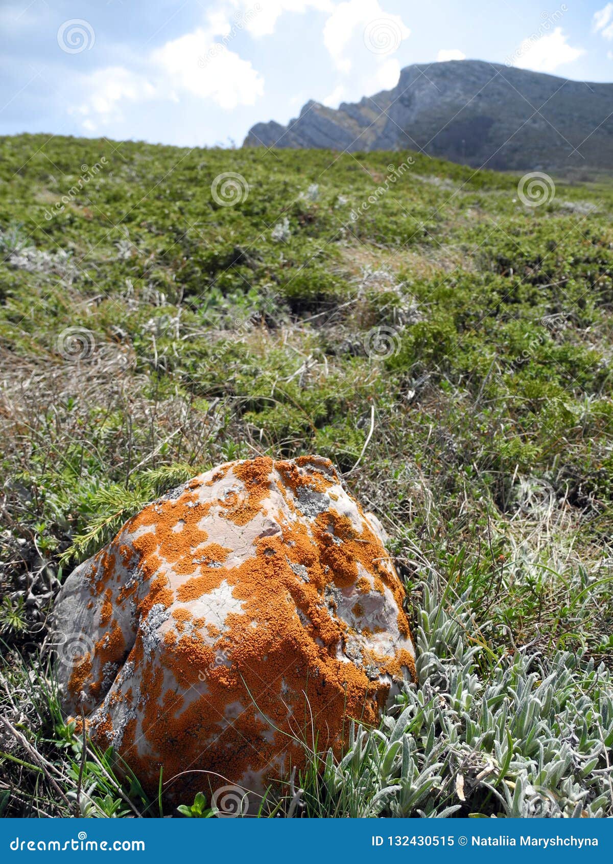 Stone Covered with Orange Moss on the Background of a Mountain Range ...