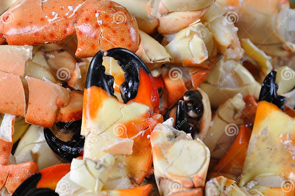 Stone Crab Claws stock image. Image of claws, seafood - 24253103