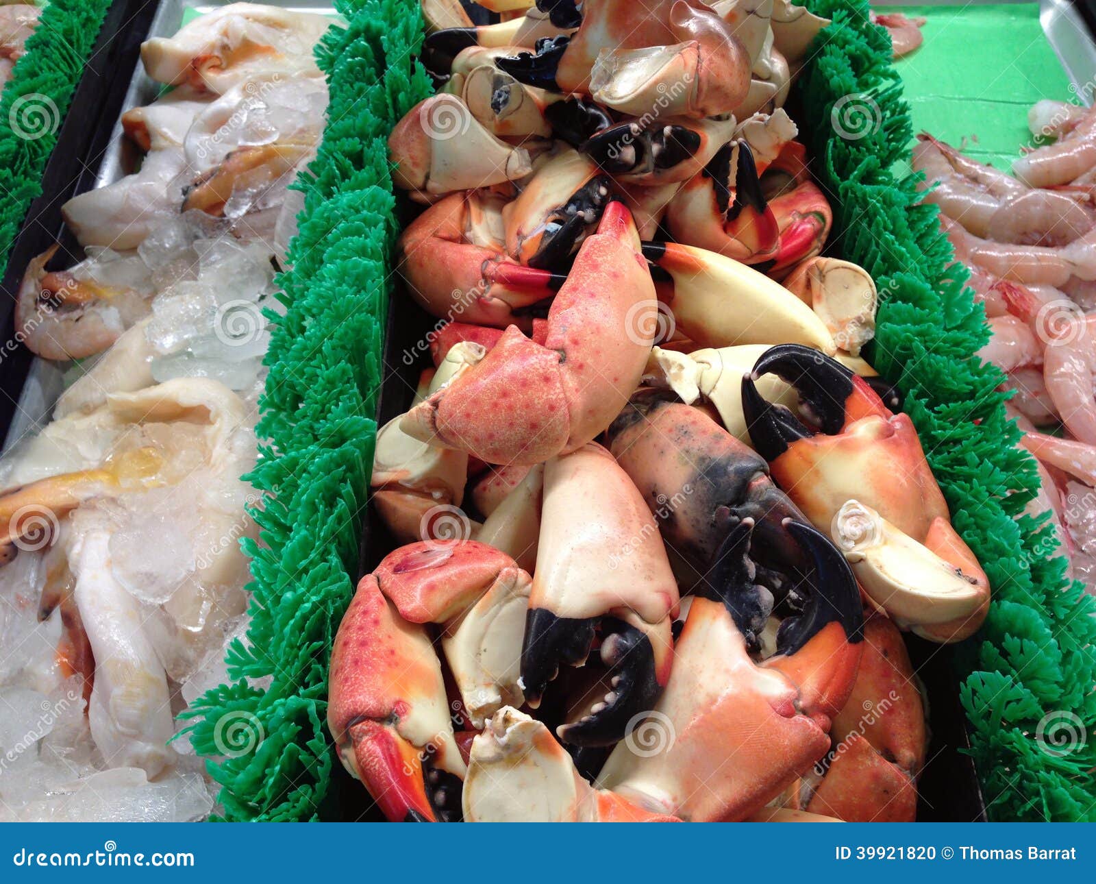 Stone Crabs stock photo. Image of food, gourmet, shellfish - 39921820